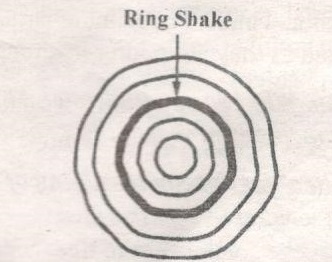 Different types of defects That appears in Timber | VideRime ...